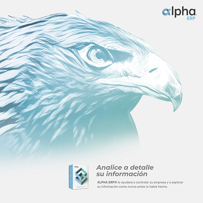 Galería - ALPHA ERP® | Castelec